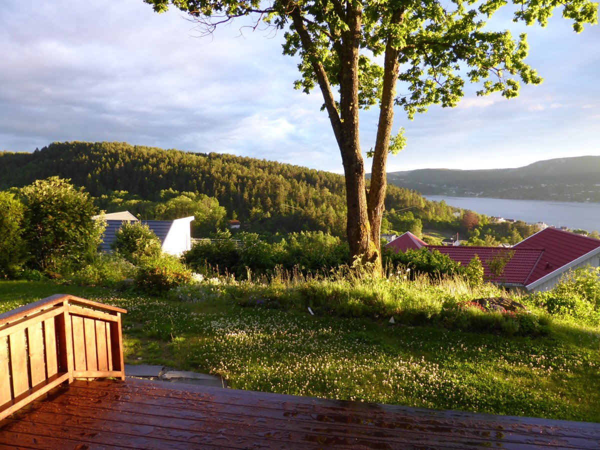 Hvorfor den planlagte gigant-utbyggingen på Jørnsåsen ved Holmsbu vil ...